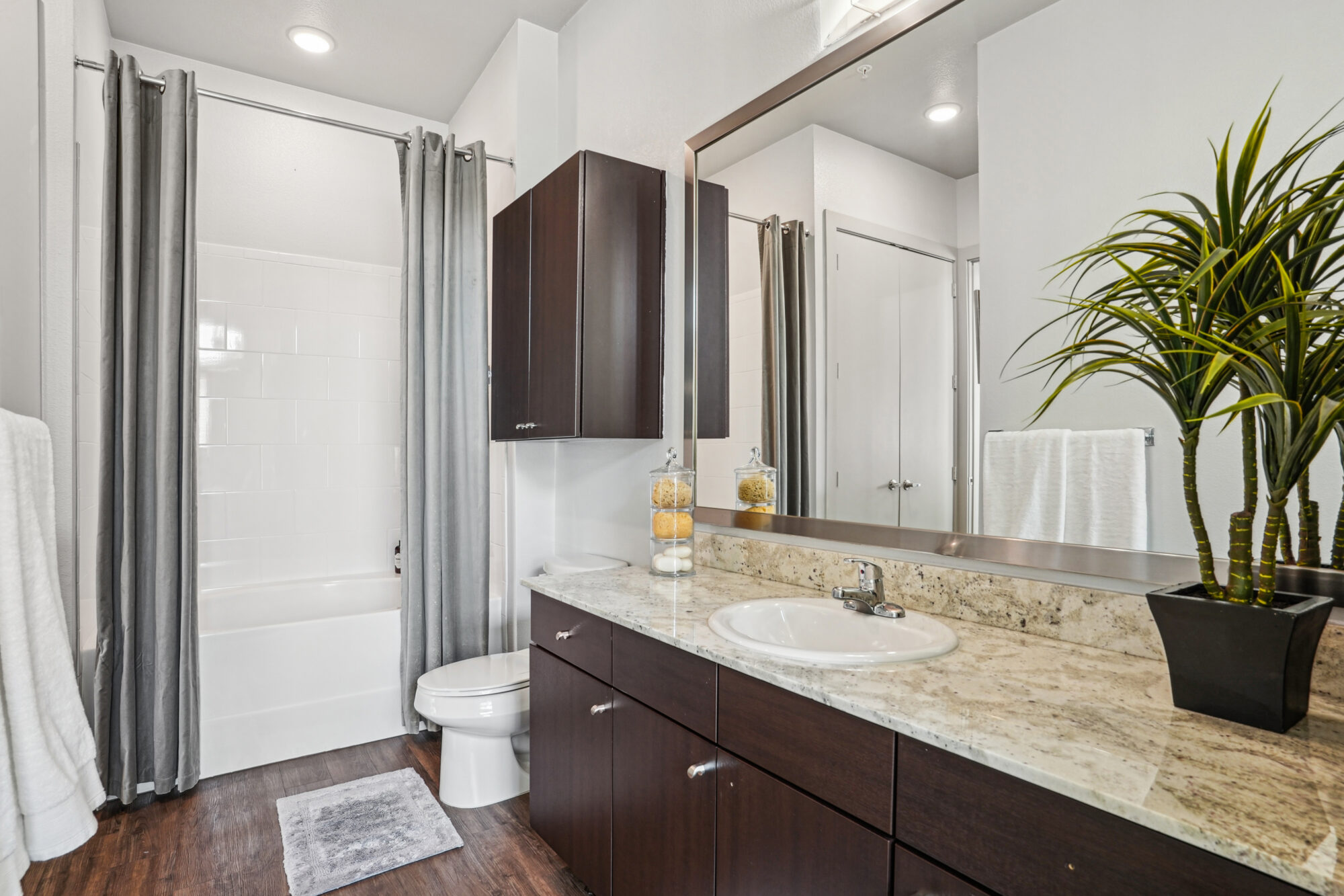 Premium Amenities Bell Knox District | Apts Dallas, TX